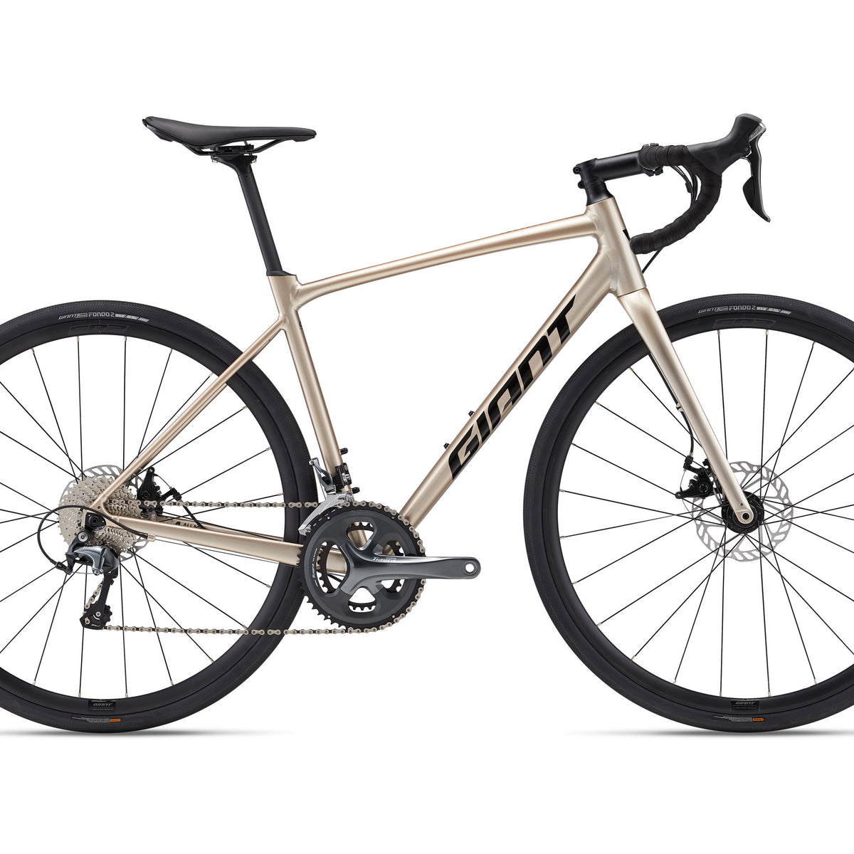 Giant Contend AR 2 (2024) | Ivanhoe Cycles