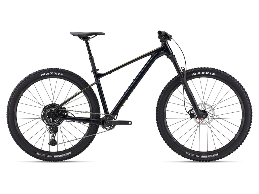 Giant Fathom 29 2 (2024) Mountain Bike | Ivanhoe Cycles