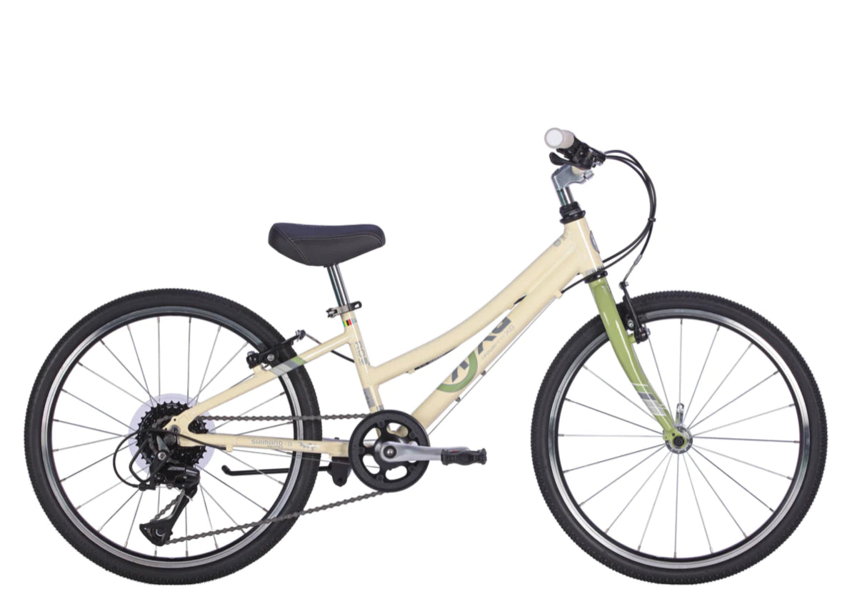 20" BYK E-450 Girls 8-Speed | Ivanhoe Cycles